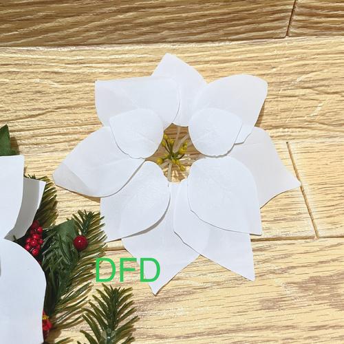 Jual Bunga Kastuba Poinsentia Pohon Natal /Ornamen Natal - Jakarta ...