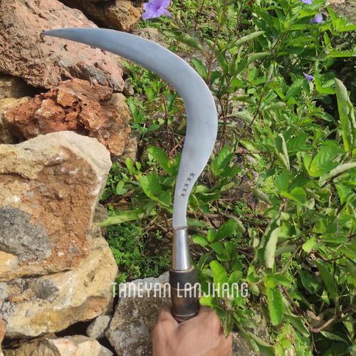 Promo arit rumput baja asli tajamcap bintang 5 super top asli Madura ...