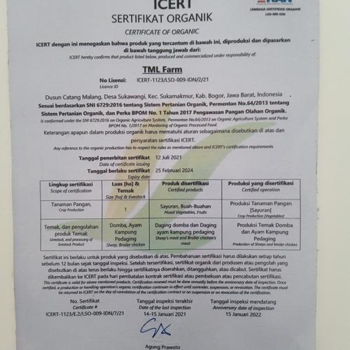 Jual AYAM KAMPUNG ORGANIK TML (COCOK UNTUK ANAK BERKEBUTUHAN KHUSUS ...