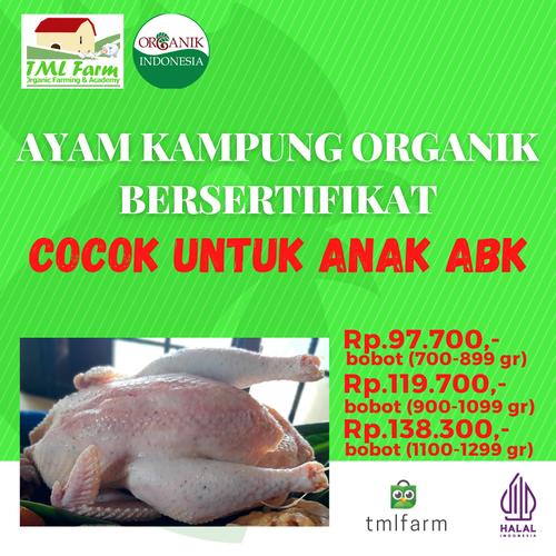 Promo AYAM KAMPUNG ORGANIK TML (COCOK UNTUK ANAK BERKEBUTUHAN KHUSUS ...