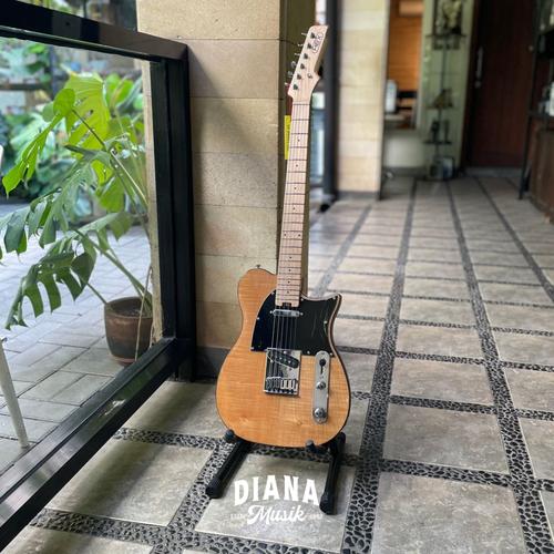 Jual Gitar Elektrik Hex Telecaster T200 SG w/Gig Bag - Natural - Kota ...
