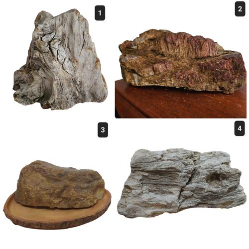 Jual BATU FOSIL KAYU PREMIUM batu aquascape batu taman bonsai batu ...