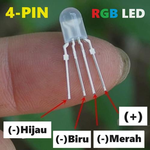 Jual Grosir Lampu LED RGB 4P Kaki 4-Pin 5mm Red Green Blue Merah Hijau ...
