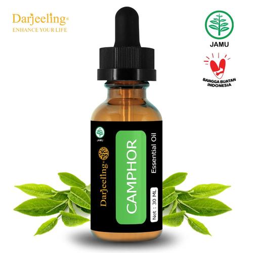 Jual Darjeeling Camphor Essential Oil / Minyak Atsiri Kamper ...