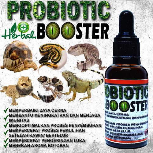 Promo PROBIOTIC BOOSTER VITAMIN OBAT PENCERNAAN IMUN SULCATA GECKO ...