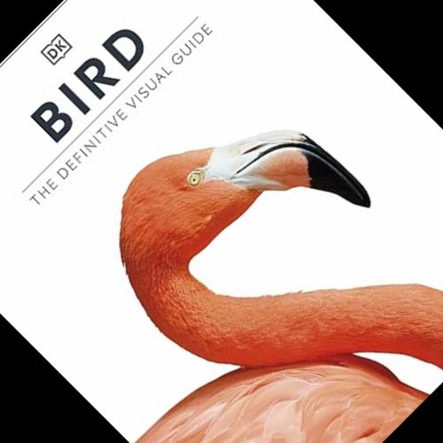 Jual Bird: The Definitive Visual Guide – DK (ORIGINAL ENGLISH HARDCOVER ...