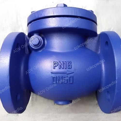 Jual Swing Check Valve flange 2 1/2" inch PN16 cast iron - Jakarta ...