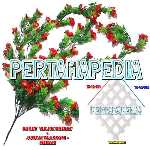 Jual Bunga Plastik/ Daun Rambat/ Rumput Plastik/ Floral Foam/ Blossom ...