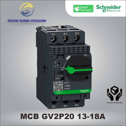 Jual MOTOR CIRCUIT BREAKER GV2P20 SCHNEIDER ORIGINAL SNI - Jakarta ...