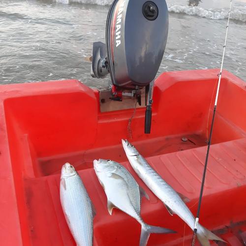 Jual Fiber Boat Paddle SOS Emergency Lifeboat Kapal Mancing Darurat ...