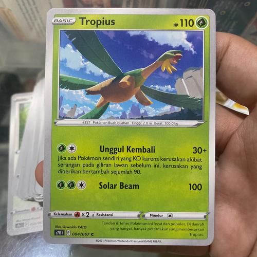 Jual Kartu Pokemon TCG Indonesia Tropius s7r Staple - Kota Denpasar ...