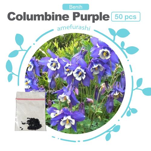 Jual Benih/Bibit Seeds Bunga Columbine Aquilegia Purple Tanaman Hias ...