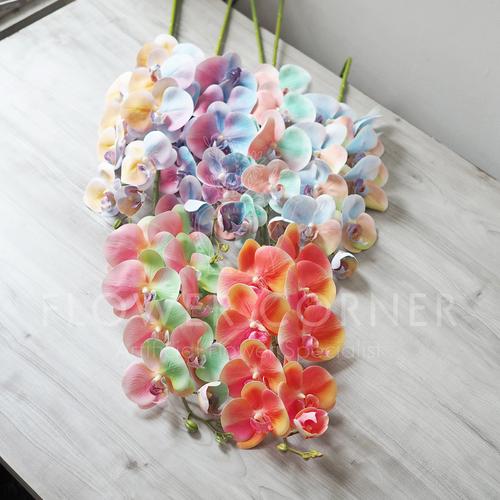 Jual Bunga Artificial Premium Anggrek Double Color Gradasi (B23195 ...
