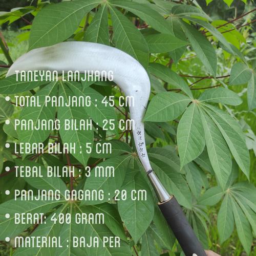 Jual Arit Rumput Cap Bintang 5 Model Melengkung Gagang Hitam Asli ...