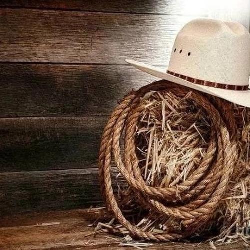 Jual Tali Tambang Goni Real Rope Lasso Acc Cowboy Tali Tambang Dadung ...