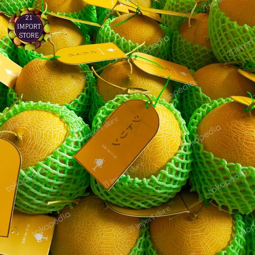 Jual Melon Dang Sweet Melon Jepang Shitorin | Buah Melon Japan 1,6 kg ...