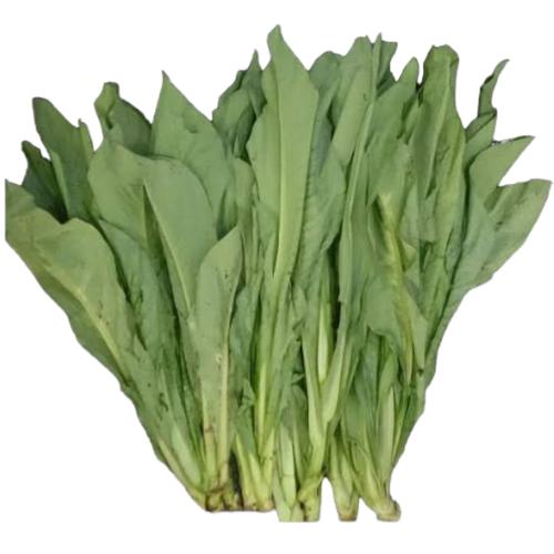 Jual sayur fumak 1 kg - Jakarta Pusat - Paksayur10 | Tokopedia