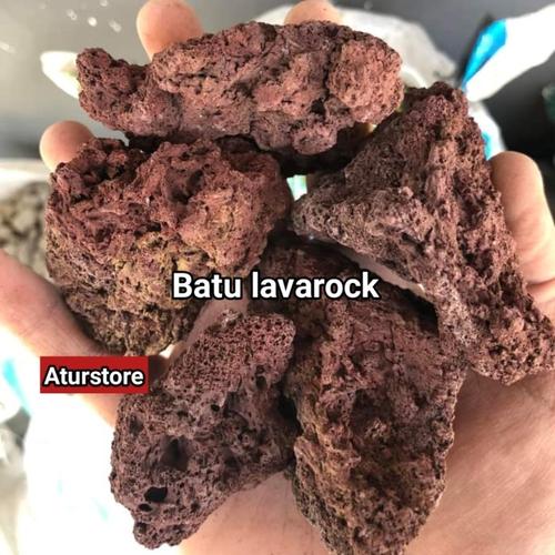 Jual Batu Lava rock Urai 1kg Ukuran 5-8cm Media filter kolam koi ...