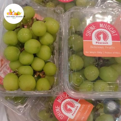 Jual Anggur Muscat Shine Seedless import manis dan garing / pack ...