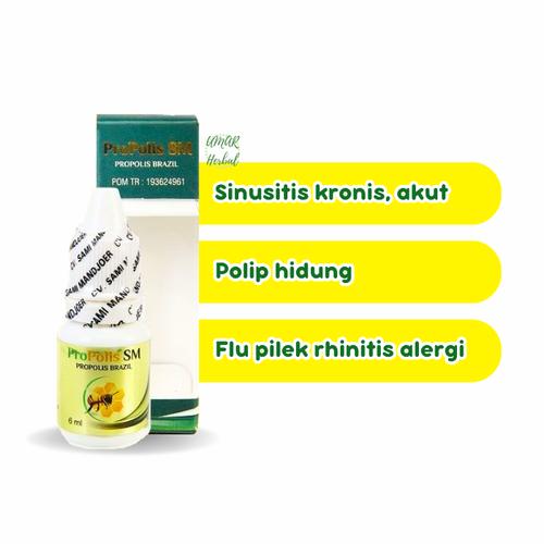 Promo Obat Rhinitis dan Gatal Alergi Hidung Berlendir Radang Sinus ...