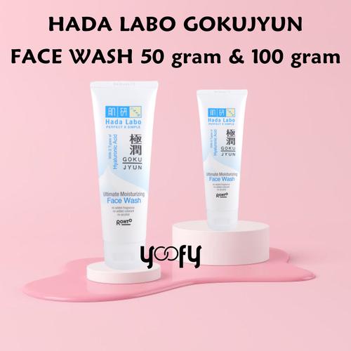 Jual HADA LABO GOKUJYUN FACE WASH / HADALABO FACIAL WASH GOKUJYUN - 100 ...