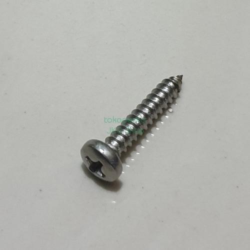 Jual Skrup sekrup taping screw Stainless SUS304 PH 6 x 3/4 kepala bulat ...