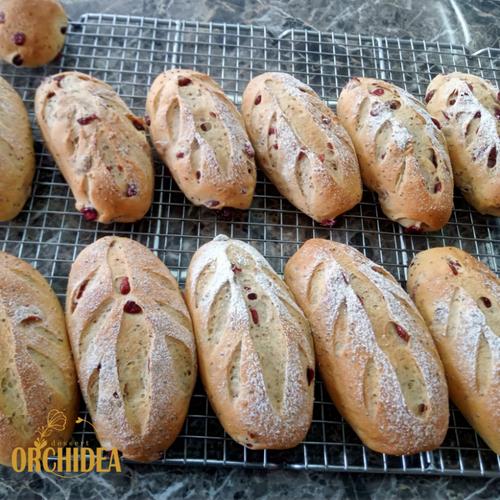 Jual Roti Maung / Roti Macan / Sordough Bread Cranberry Cheese - Kab ...