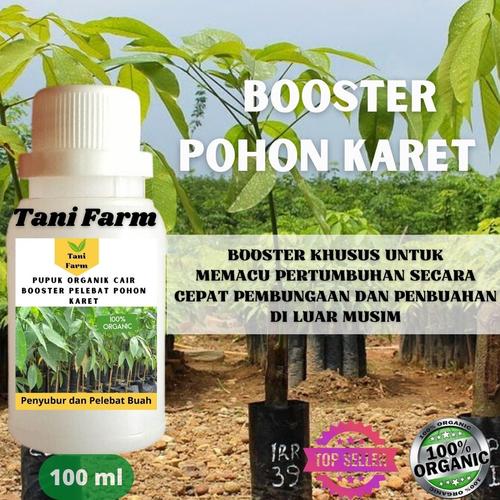 Jual Pupuk Karet Booster Cair Organik Pelebat Buah Pohon Karet 100 ML ...
