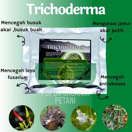 Jual Pupuk Trichoderma Anti Layu Anti Busuk Pupuk Hayati Trichoderma ...
