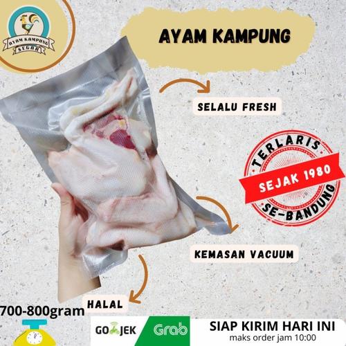 Promo FRESH Ayam Kampung Potong Selalu Segar Sehat Bersih asli Bandung ...