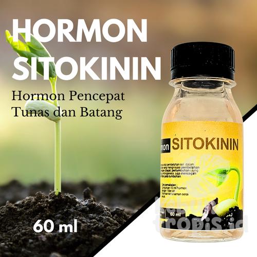 Jual Hormon Sitokinin/Cytokinin Pertumbuhan Tanaman Pembelahan Sel ...