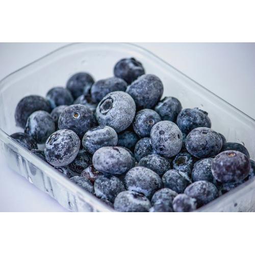 Jual Premium Frozen Blueberry Super / Buah Bluberi Beku - 1kg - Jakarta ...