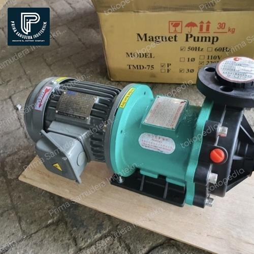 Jual Pompa Trundean Magnet Pump TMD-75P - Jakarta Barat - Prima Samudera Indoteknik | Tokopedia