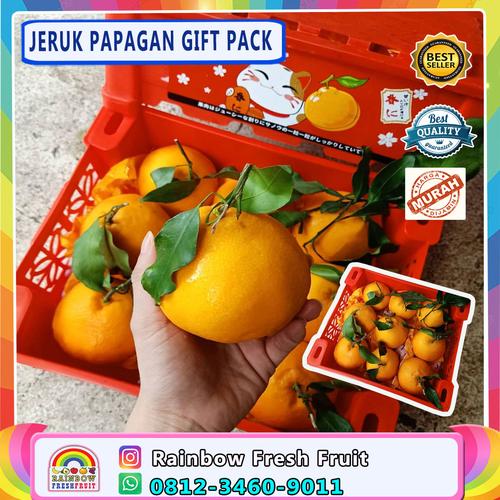 Jual HADIAH IMLEK CANTIK BUAH JERUK PAPAGAN ISI 9 BIJI KEREN MENARIK ...