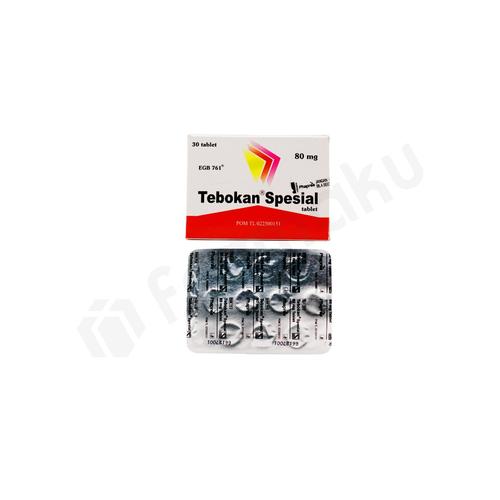 Promo Tebokan Spesial Strip Isi 10 Tablet - Vitamin dan Suplemen Otak ...