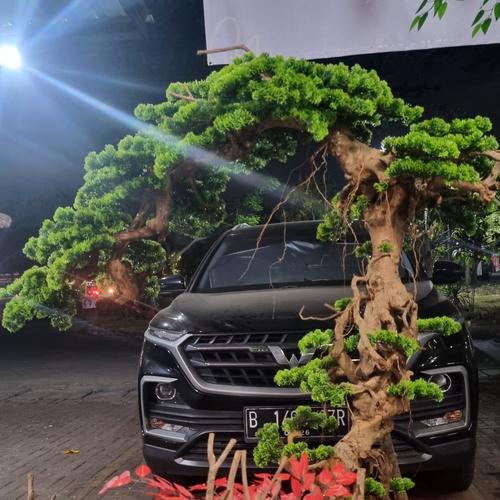 Jual Bonsai Artificial Bonsai Imitasi Daun Cemara Sinesis Tinggi 240 cm ...