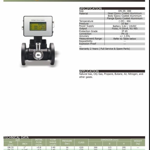 Jual FLOW METER SHM GAS TURBINE DN40 Natural Gas, Nitrogen (1,5 Inch ...