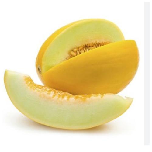 Jual 3 BIJI MELON APOLLO benih bibit tanaman buah melon emas hibrida ...