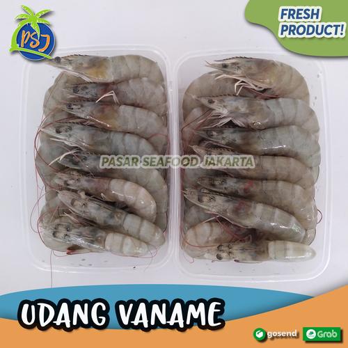 Jual FRESH Udang vaname segar | udang air laut segar | udang vaname ...