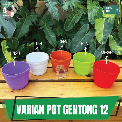Jual Pot Bunga Gentong Motif Kayu Pot Tanaman Hias Cantik Warna Warni ...