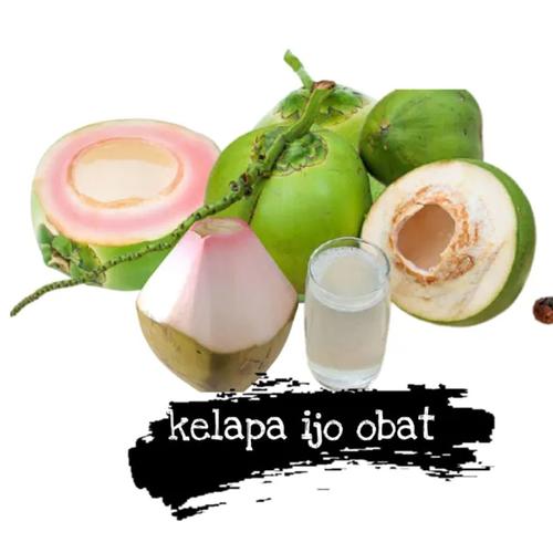 Jual Kelapa Muda Ijo/Kelapa Ijo Obat/Kelapa Muda Wulung/Kelapa CM/Degan - Kab. Pandeglang ...
