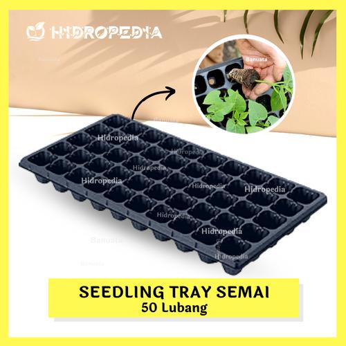 Jual Tray Semay isi 50 lubang / Pot Tray / Pot Semai / Hidroponik ...