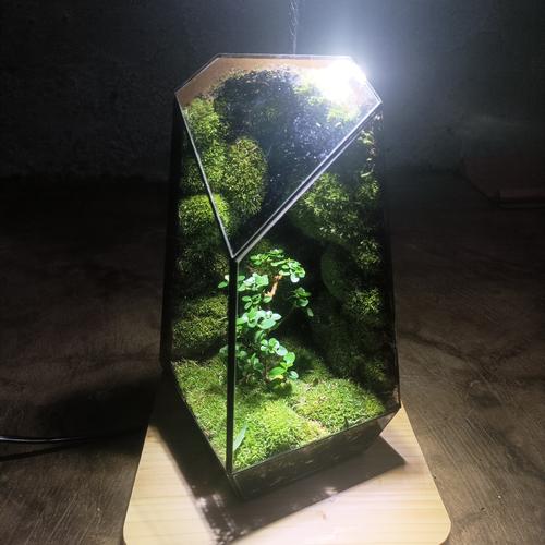 Jual Closed Terrarium - Texarium | Closed Ecosystem Tank |Terrarium ...