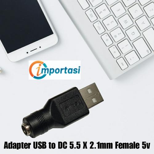 Jual Converter Adapter USB to DC 5.5 x 2.1 mm Female 5V Jack Konektor ...