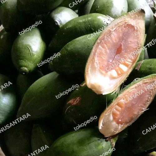 Jual Buah pinang muda segar per 500g (obat herbal) - Kab. Pangandaran ...