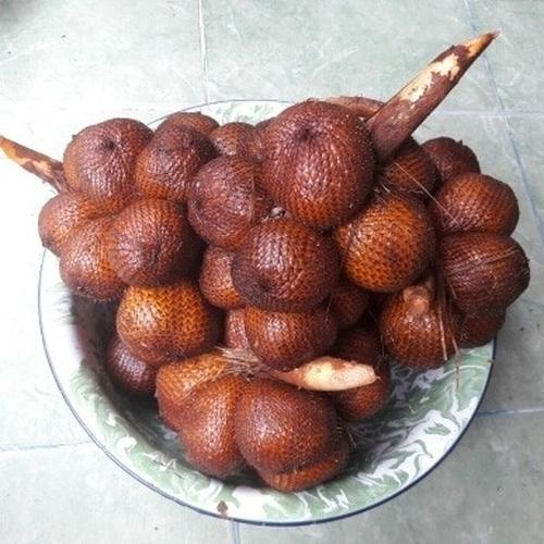 Jual Salak GULA Pasir Asli Bali - Kota Denpasar - Salak Sibetan BALI ...