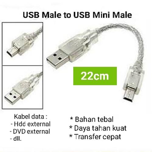 Jual Kabel data USB type A male ke mini USB type B male - Jakarta ...