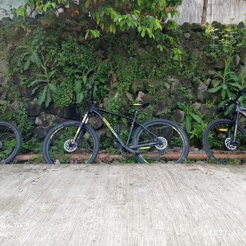 Jual sepeda polygon xtrada 7 2020 - Kab. Rembang - toserba yes-1 ...