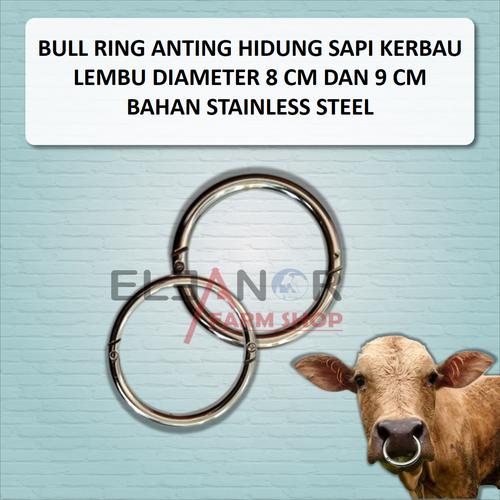 Promo Cincin Ring Hidung Sapi Kerbau Lembu Bull Ring Diameter 8 cm dan ...