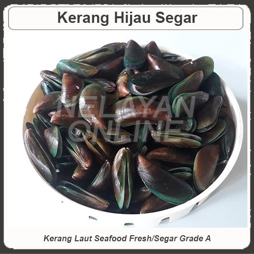 Jual Kerang Hijau Segar/Fresh 500gr - Kerang Seafood Segar - Kerang Ijo ...